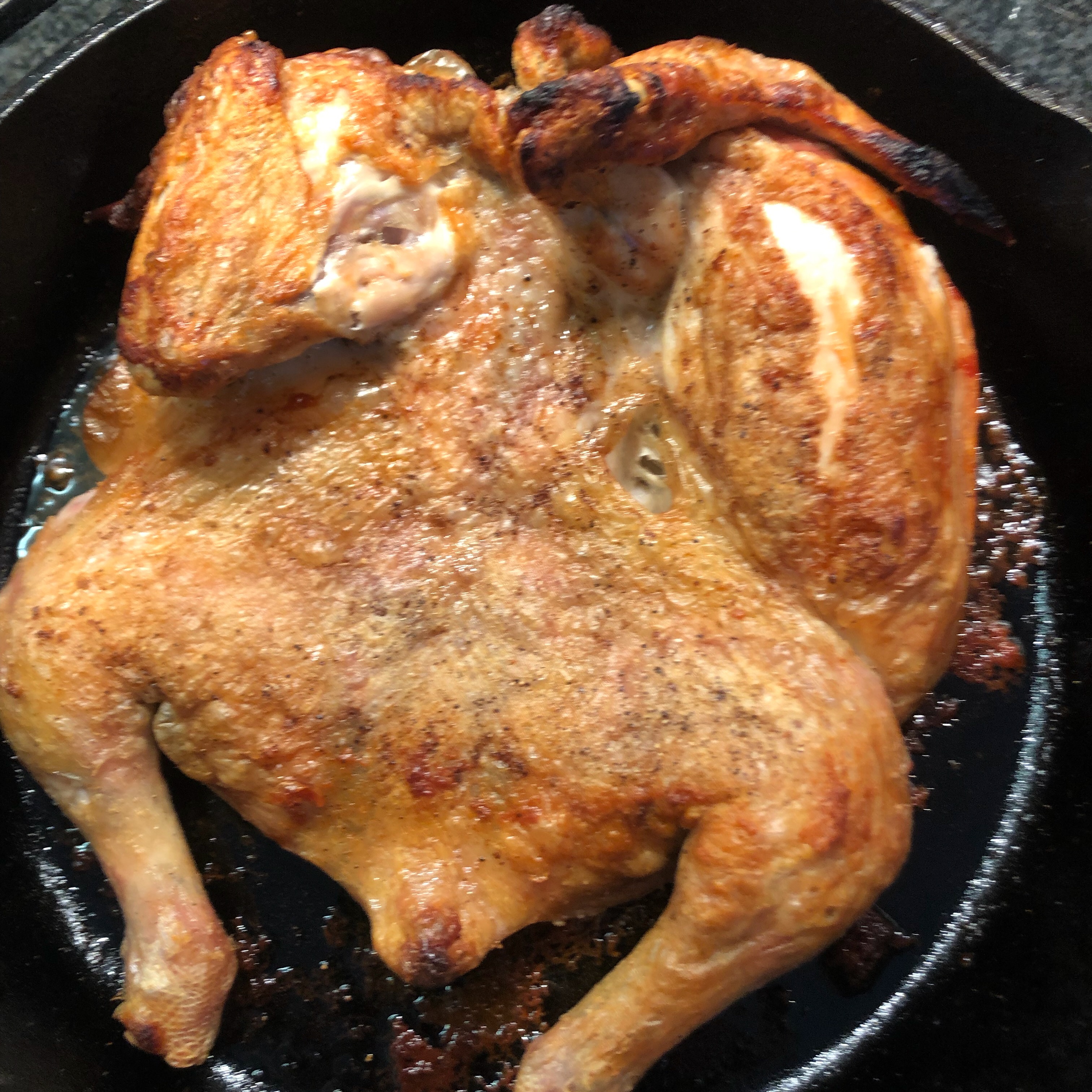 Hopscotch Chicken with Rosemary and Lemon