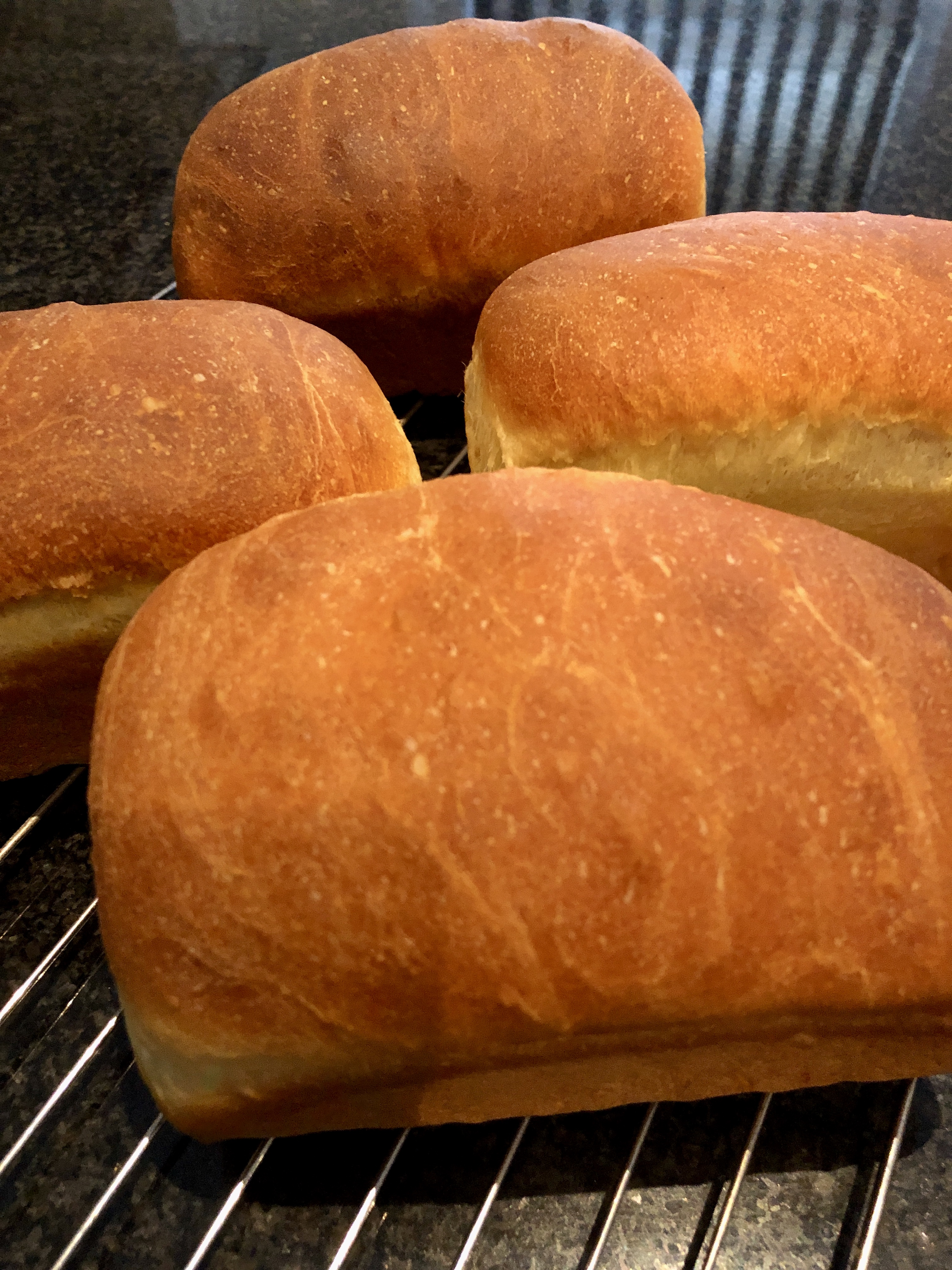 BISCOTTES